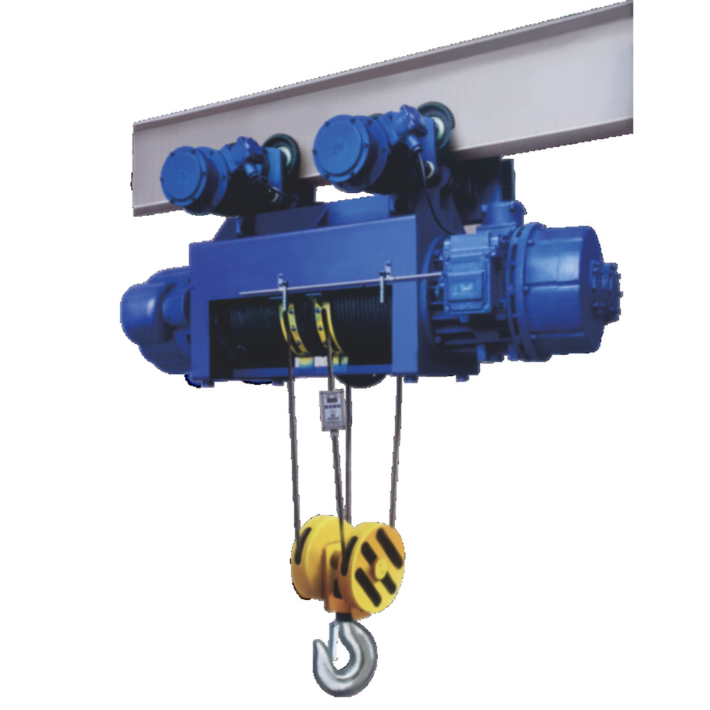 1 Ton Electric Chain Hoist with Remote Control for Loading